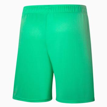 Shorts Puma Palmeiras Third Masculino - Verde - Short Esportivo ...