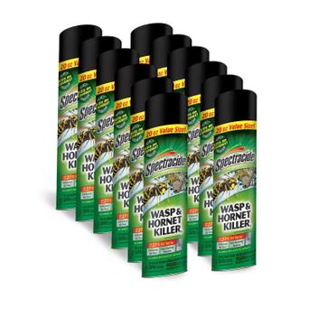 Spray Inseticida Spectracide HG-95715 para Vespas e Marimbondos - 590ml ...