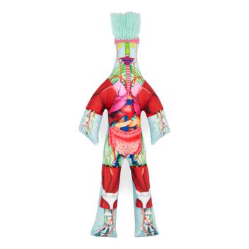 Stress Relief Dammit Doll Edição Limitada Dammit Anatomy - Pop It ...
