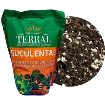 Substrato Para Cactos E Suculentas Pacote 3 Litros - Terral - Substrato ...