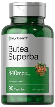 Suplemento Horbäach Butea Superba Root - 840mg - 90 Cápsulas ...