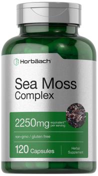 Suplemento Horbäach Sea Moss Complex 2250mg 120 cápsulas - Ômega 3 ...