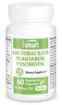 Suplemento Supersmart Lactobacillus Plantarum PostBiotic 20B CFU - Lactobacilos - Magazine Luiza