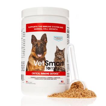 Suplemento VetSmart Formulas Critical Immune Defense - Para Cães e ...