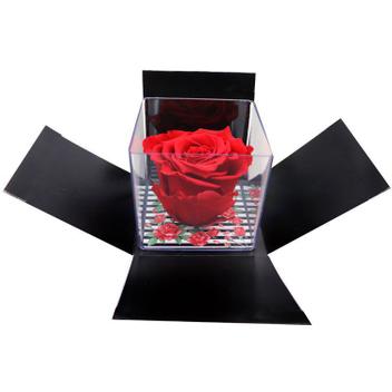 Surpresa de Rosa Encantada no Acrílico - Giuliana Flores - Flores ...