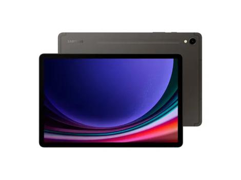 Tablet Samsung S9 WI-FI 256GB 11" SM-X710NZAHZTO - APC - Tablet Samsung ...