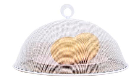 Tela Protetora de Cobrir Alimentos Metal - 34,5 cm - Branca - Tamanho ...