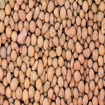 Terra nobre argila expandida 500g - Argila Expandida - Magazine Luiza