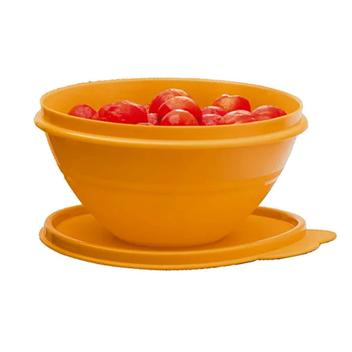 Tigela Maravilhosa Tupperware 500 ml - Vedação Perfeita - Tupperware ...