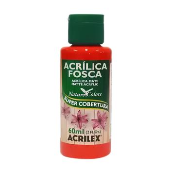 Tinta acrilica fosca 60ml acrilex escolha a cor - Tinta Acrílica ...
