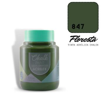 Tinta Chalk Paint Acrilex 100ml 847 Floresta - Pintura - Magazine Luiza
