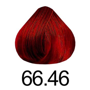 Tintura Para Cabelo Haskell - knut - Tinta de Cabelo - Magazine Luiza