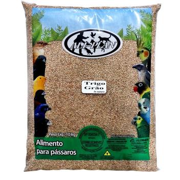 Trigo em Grãos Para Pássaros Pacote 10kg Aliplan - Alimentos Básicos ...