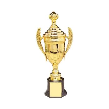 Troféu De Futebol Infantil, Modelo De Plástico, Prêmio Vencedor ...