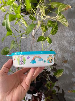 Tupper pratinho Madagascar 500 ml - Tupperware - Pote - Magazine Luiza