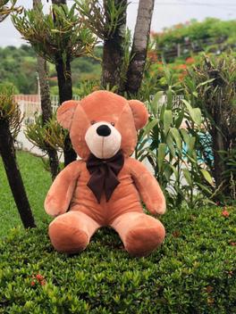 Urso Gigante Pelúcia Grande Teddy 1,10 Metro - LAÇO PERSONALIZADO ...