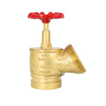 Válvula Registro Globo Angular 45º 2.1/2 (76) Pn16 Ranhurado - Ignis Security - Registro de ...