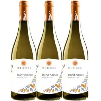 Vinho Branco Settesoli Pinot Grigio 750ml (3 und) - Cantina Settesoli ...