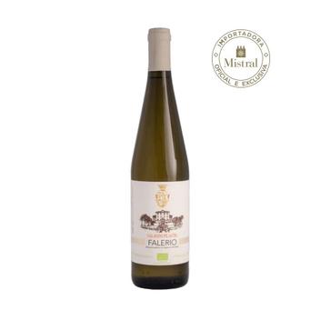 Vinho Falerio 2020 (Saladini Pilastri) 750ml - Vinho - Magazine Luiza