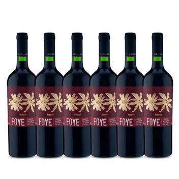 Vinho Tinto Chileno Cabernet Sauvignon Foye 750ml Kit c/ 6 - Vinho ...