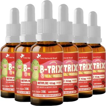 Vitamina B12 B-Trix Kids Gotas 6 X 20ml Flora Nativa - FLORA NATIVA DO ...