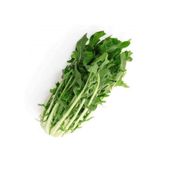 100 Sementes De almeirão catalonha - SEEDS - Sementes - Magazine Luiza