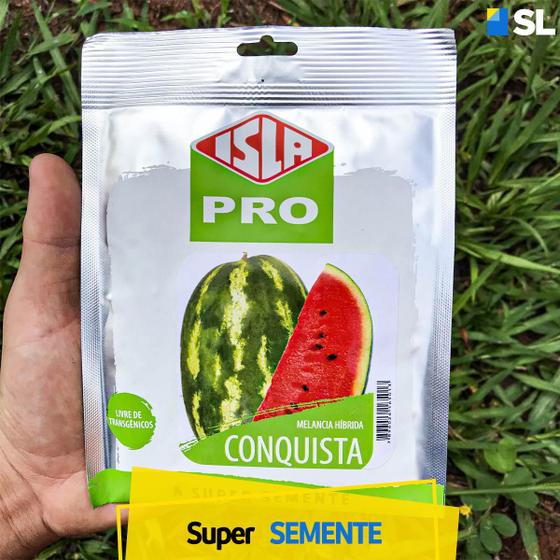 1000 Sementes de Melancia Hibrida Conquista Isla Kit 8 un - Isla ...