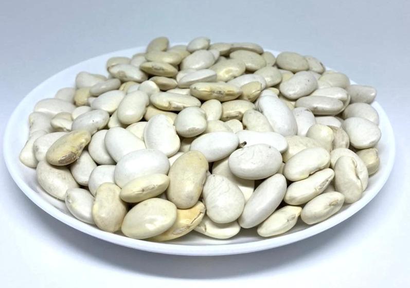 1kg Fava Branca Sementes Graúdas - Ceara - Sementes - Magazine Luiza