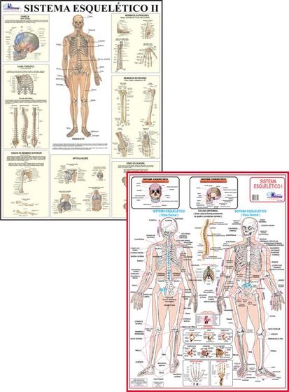 2 Mapa Corpo Humano Sistema Esquelético 1 e 2 - 120cmX 90cm ...