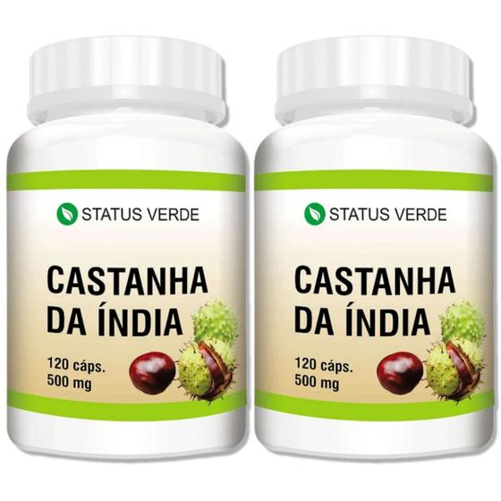 2 Potes Castanha da India em Cápsulas - Kit 240 Cáps - Status Verde ...