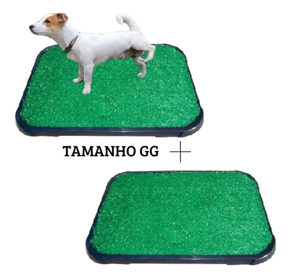 2 Sanitários Caninos Xixi Pet Grama Sintética Lavável Grande - O Plano ...