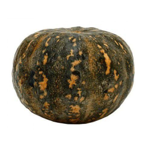 20 Sementes Abobora Bahiana Tropical - SEEDS - Sementes - Magazine Luiza