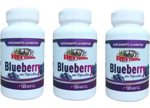 4 Blueberry Mirtilo 120 Cápsulas 500mg Antioxidante - Rei terra - Fitoterápicos e Vitaminas ...