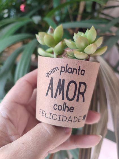 50 Rótulos Para Mini Suculentas Ou Cacto Frase Quem Planta Amor Colhe ...