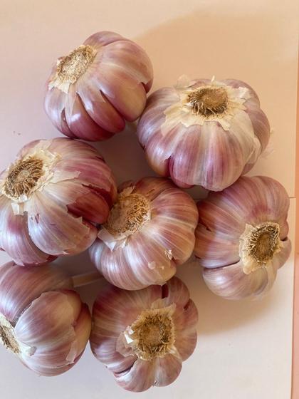 Alho Silvestre roxo 1kg 25,00 - Alho - Magazine Luiza