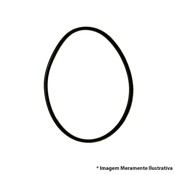 Anel Vedacao Bomba Combustivel Cummins Volkswagen Ford Alta Pressao ...