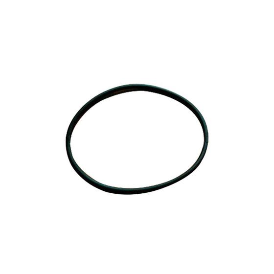 Anel Vedacao Bomba Oleo International 9800 3033248 - Cummins ...