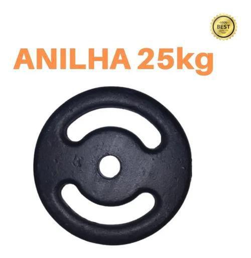 Anilha 25Kg Super Premium Ferro Fundido Pintada Academia - Anilhas&Cia ...