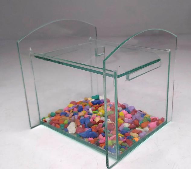 Aquario Peixe Beteira Betta Modelo Berço Com Pedras e Varias Cores - JD ...
