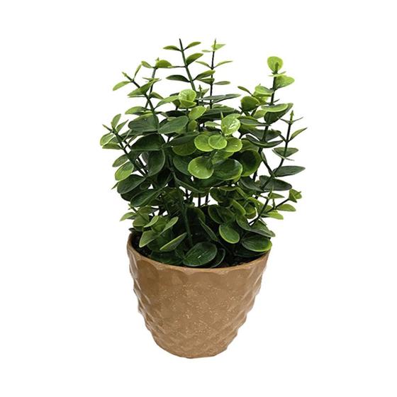 Arranjo Plantas Le com Cachepot Melamina 33cm - Plantas Artificiais ...