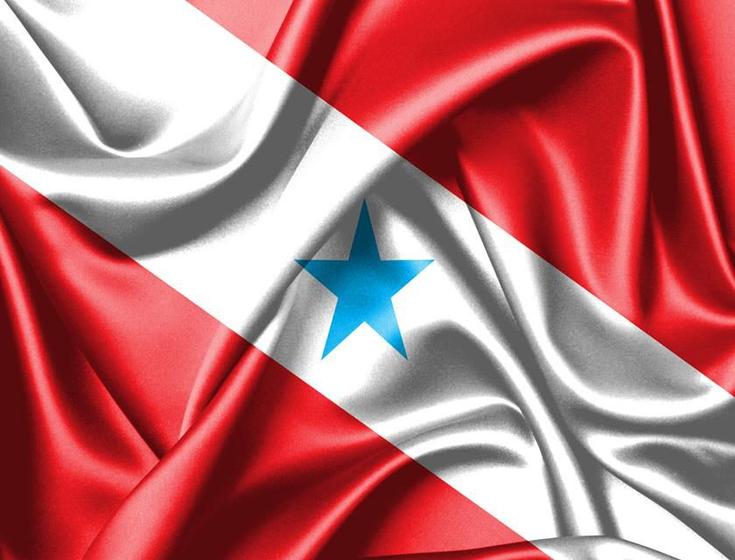 Bandeira do Estado do Pará - PRESENTE-BRINDE - Bandeiras - Magazine Luiza