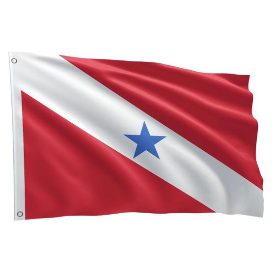 Bandeira Dos Estados Brasileiros Grande 1,50 X 0,90 M - Fadrix ...