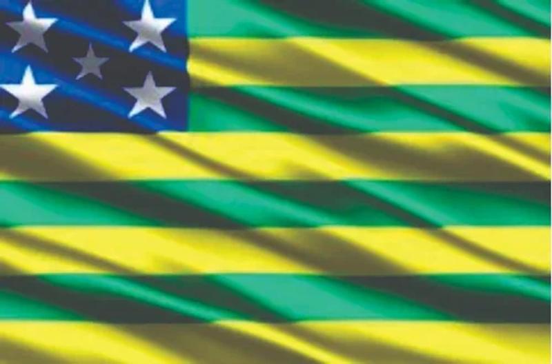 Bandeira Estado Goiás Dupla Face 1x1 45m Seriarte Digital Bandeiras