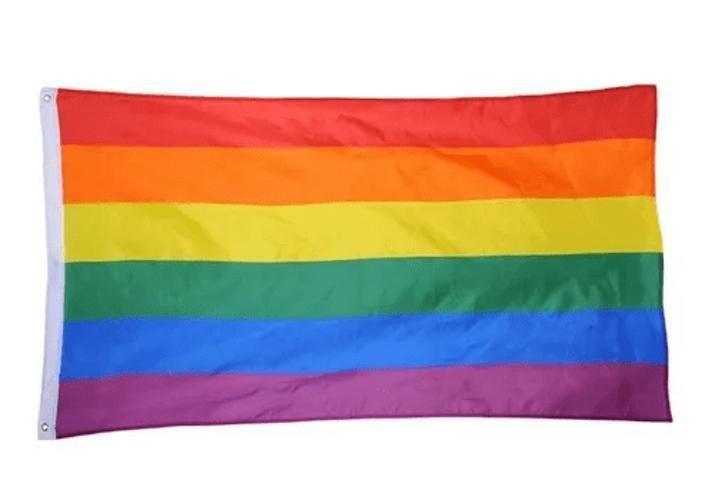 Bandeira Lgbtqia+ Gls Gay Arco Iris Lgbt Lgbtq 140X90Cm - Ldg ...