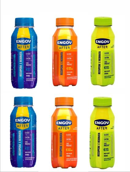 Bebida Funcional Engov After Citrus, Tangerina e Berry Vibes 250ml ...