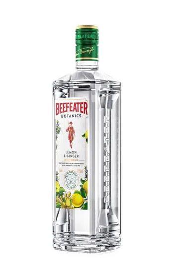 Beefeater Botanics Lemon e Ginger 750ml - Gin - Magazine Luiza