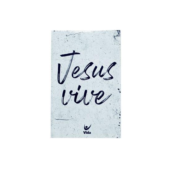 Bíblia Sagrada Nvi Jesus Vive Capa Brochura Branca E Azul - Bíblia ...