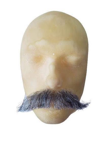 Bigode postiço falso grisalho comprido + cola 10ml + removedor - Lynx ...