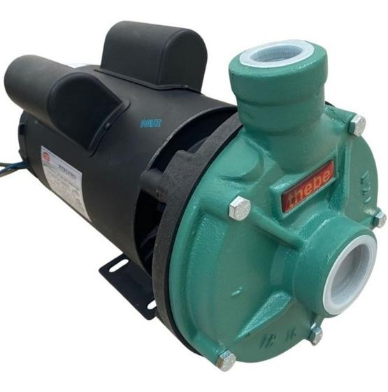 Bomba Centrífuga Monofásica Thebe Th-16nr 3cv Ip23 110/220v - Motobomba ...