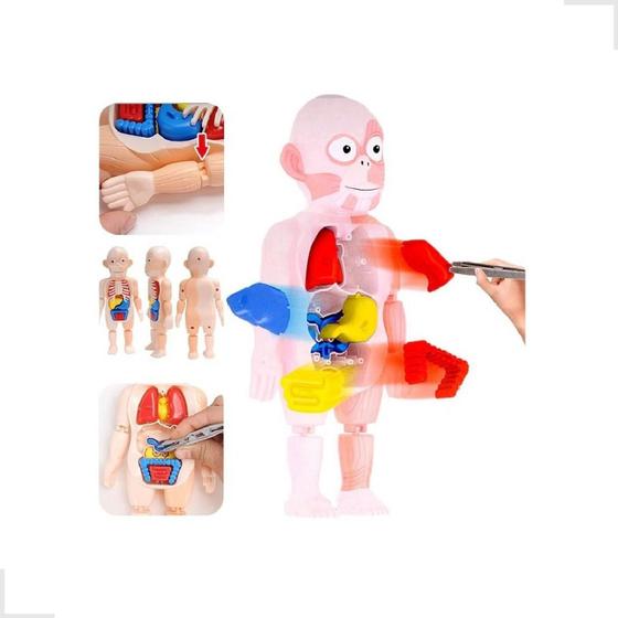 Boneco Anatomia Humana Órgãos Vitais Kit Medico Educativo - Toyng ...